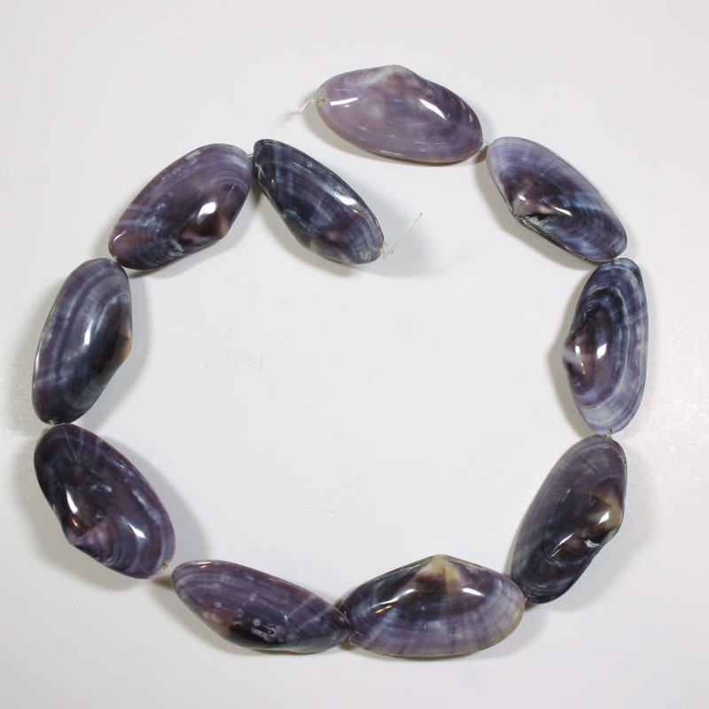 Clam Shell Beads - Etsy