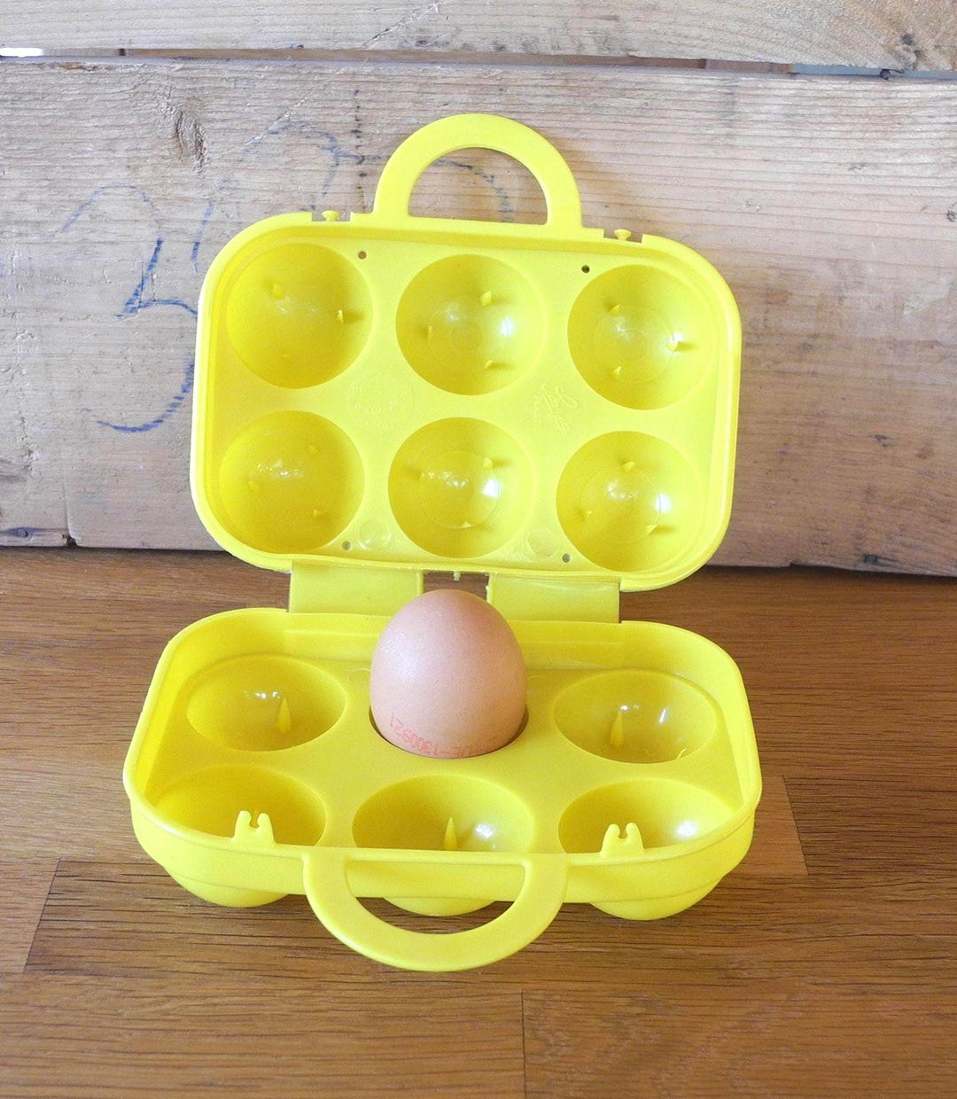 Transport Box for Eggs Storage Made of Plastic for 6 Eggs Camping ...