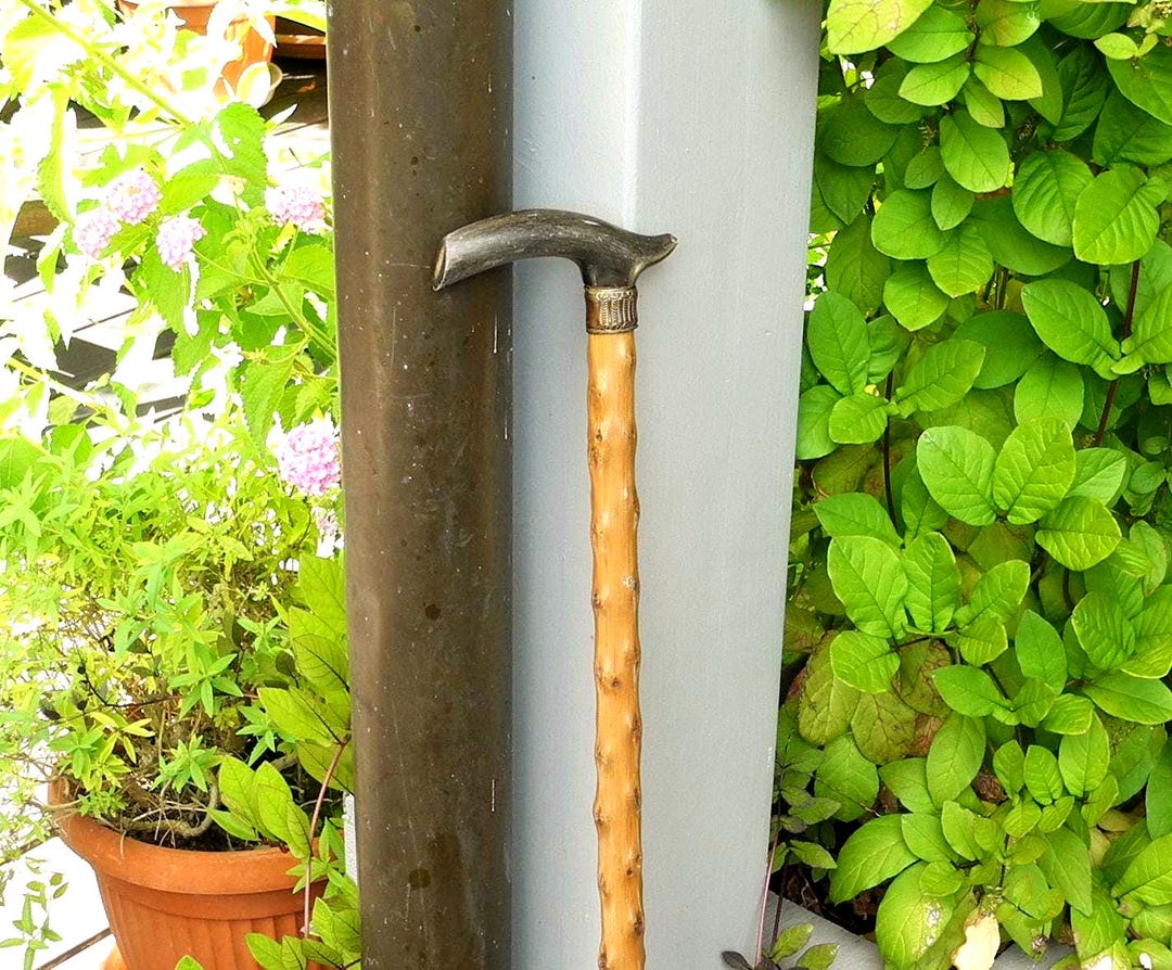Ancient Walking Stick With Horn Handle #4389661134 - Etsy