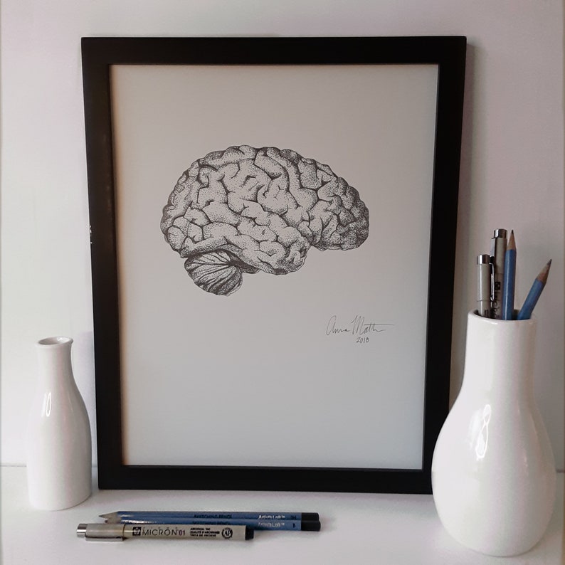 ANATOMICAL BRAIN, 5 X 7", 8 X 10", or 11 X 14" Print, Pen and Ink ...