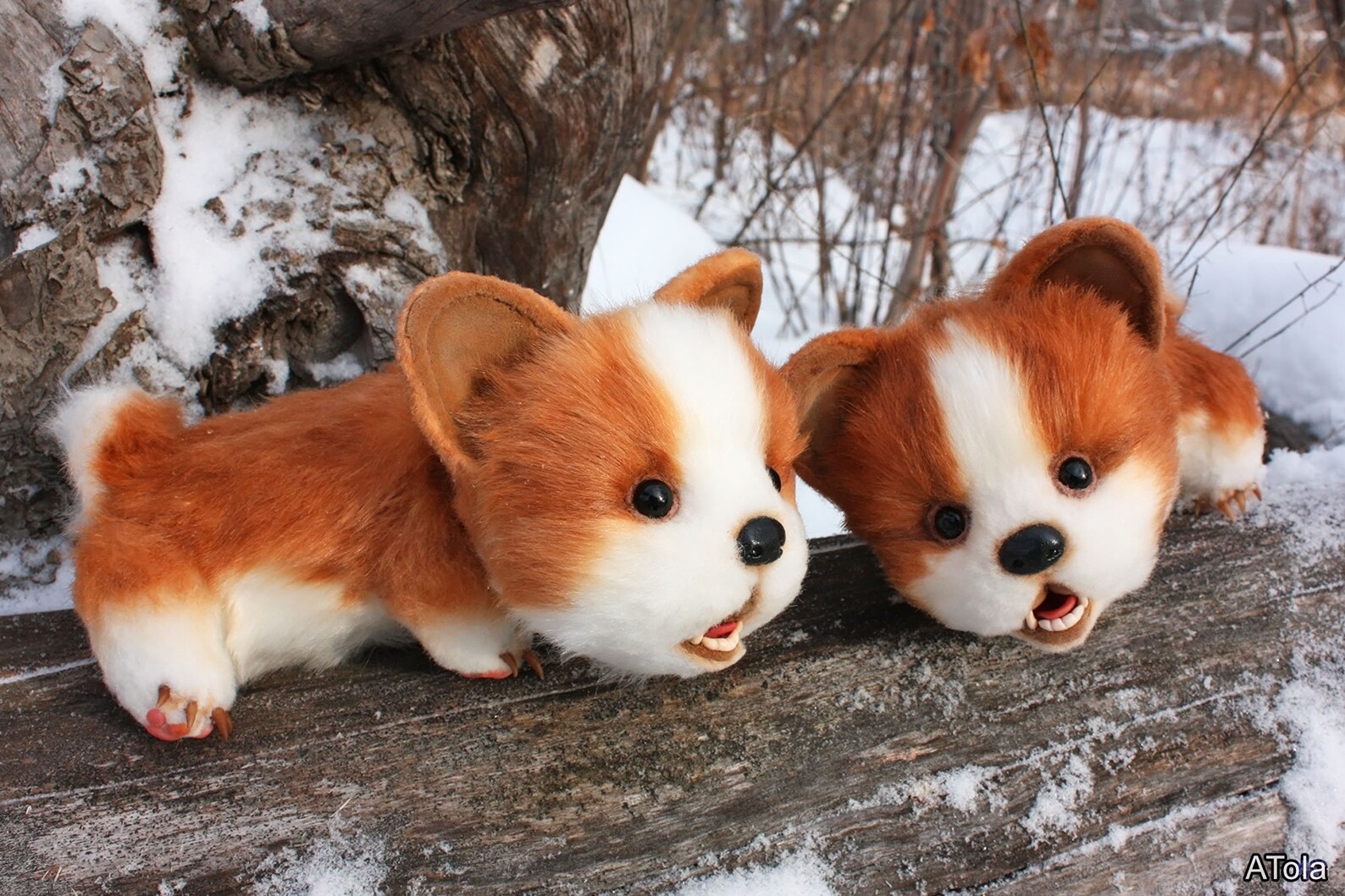 Corgi puppy. Collectible Artist toy teddy dog. OOAK Cute | Etsy