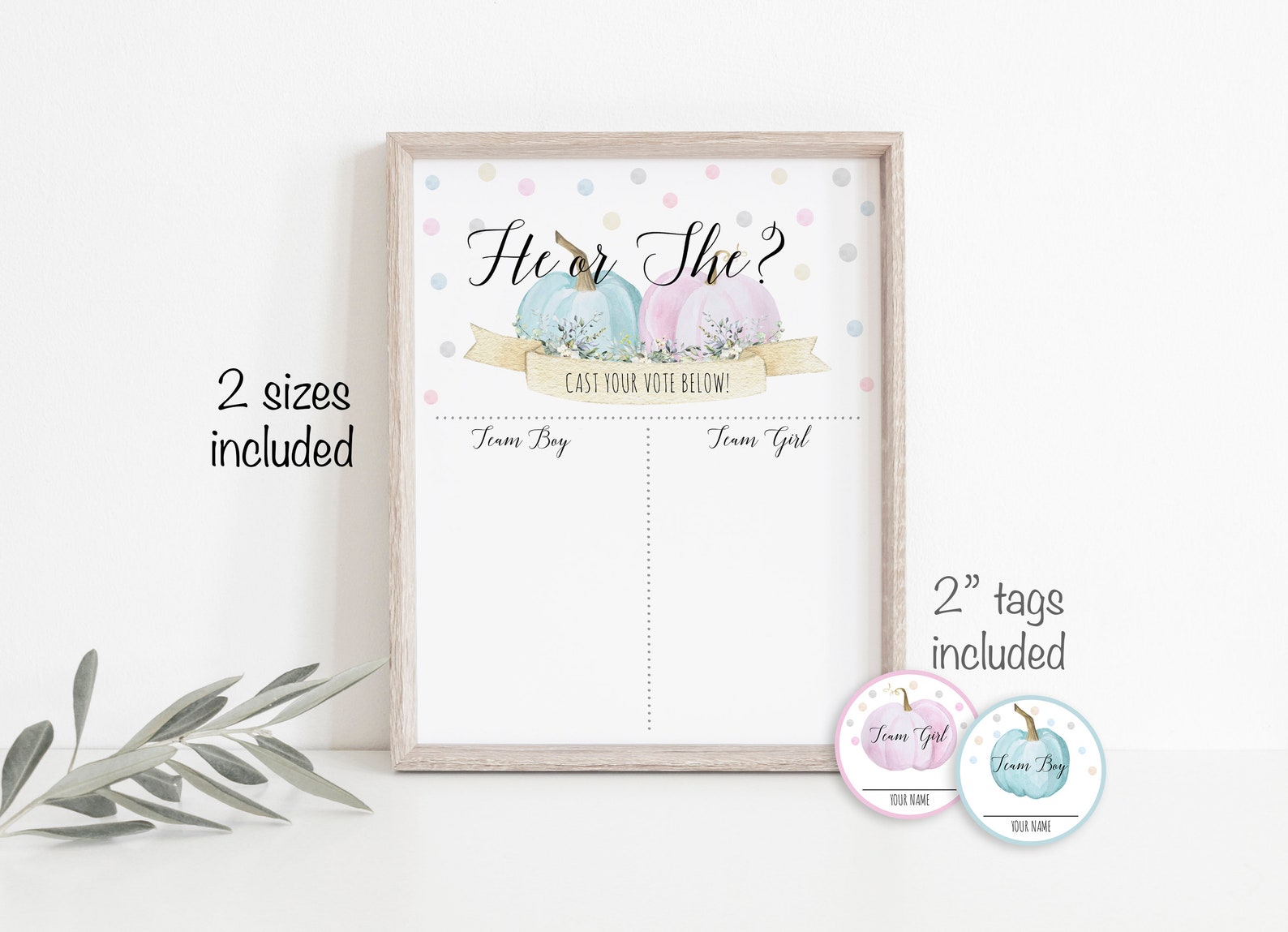 Pumpkin Gender Prediction Sign He Or She Activity Boy Or | Etsy