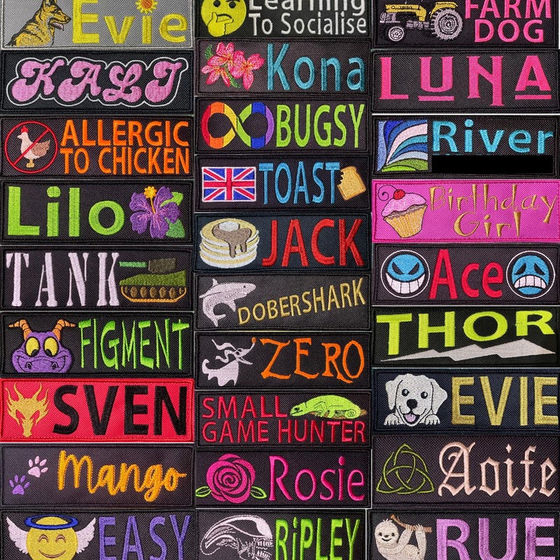 Dog Velcro Patch Fun - Etsy