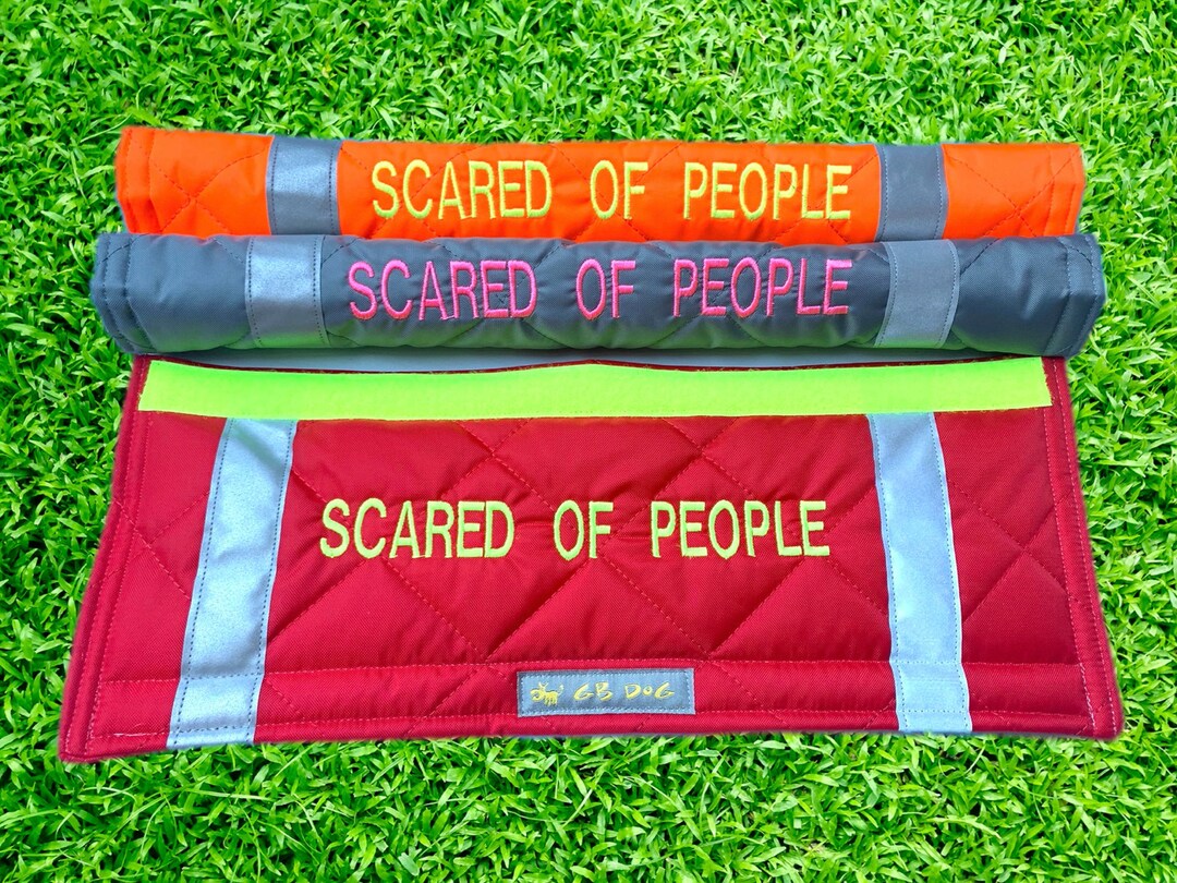 SCARED OF PEOPLE Dog Lead Slip Cover / or Personalise Text (all ...