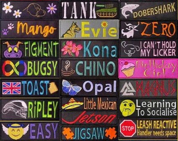 3-inch Round Patch "stay Pawsitive" | Positivity Patch for Dogs | Embroidered Patch for Dogs ...