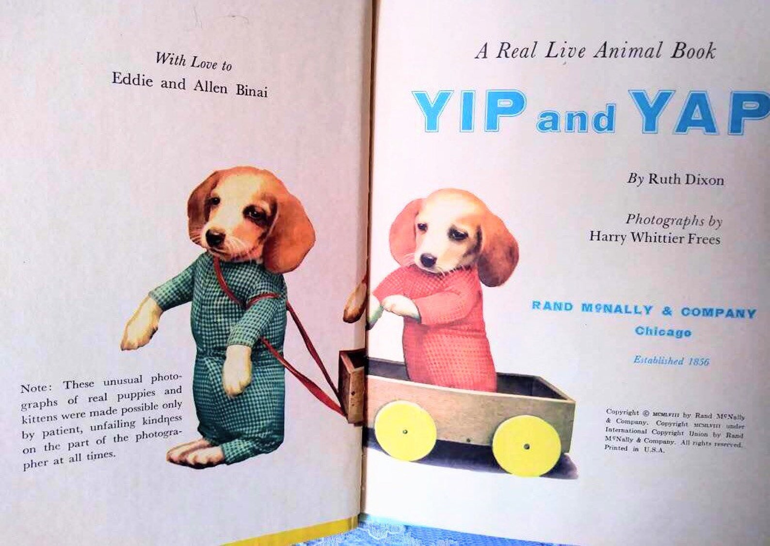 1958 Yip & Yap Hardcover Story Book 1st Edition Rand - Etsy