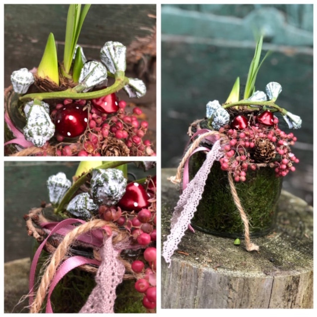 Mini Kolibri Amaryllis im Dekoglas Herbst und Winterdeko Flowers - Etsy.de