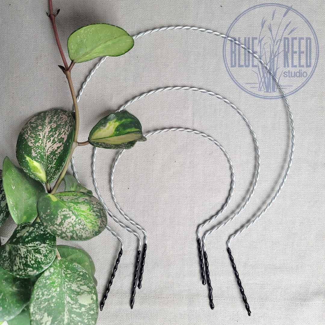 Set of 3, Round Trellises for Indoor House Plants, Hoyas, Vining Plants ...