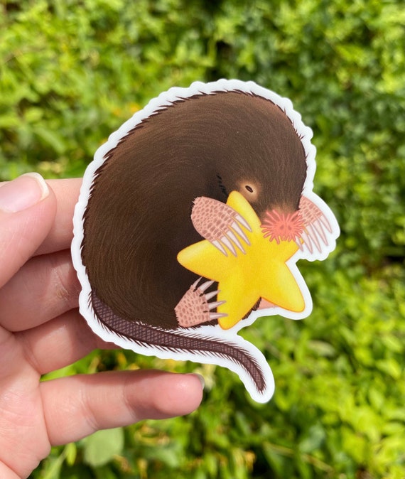 Cute Star Nosed Mole