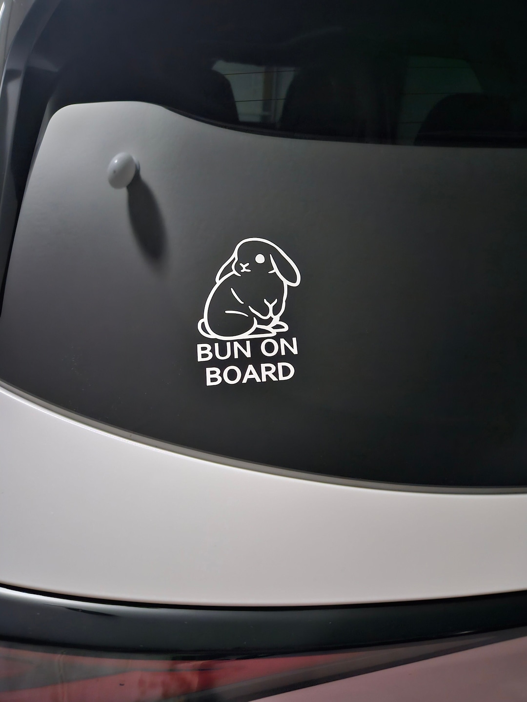 Bun on Board- White Vinyl Transfer Sticker for Car Windows! - Etsy