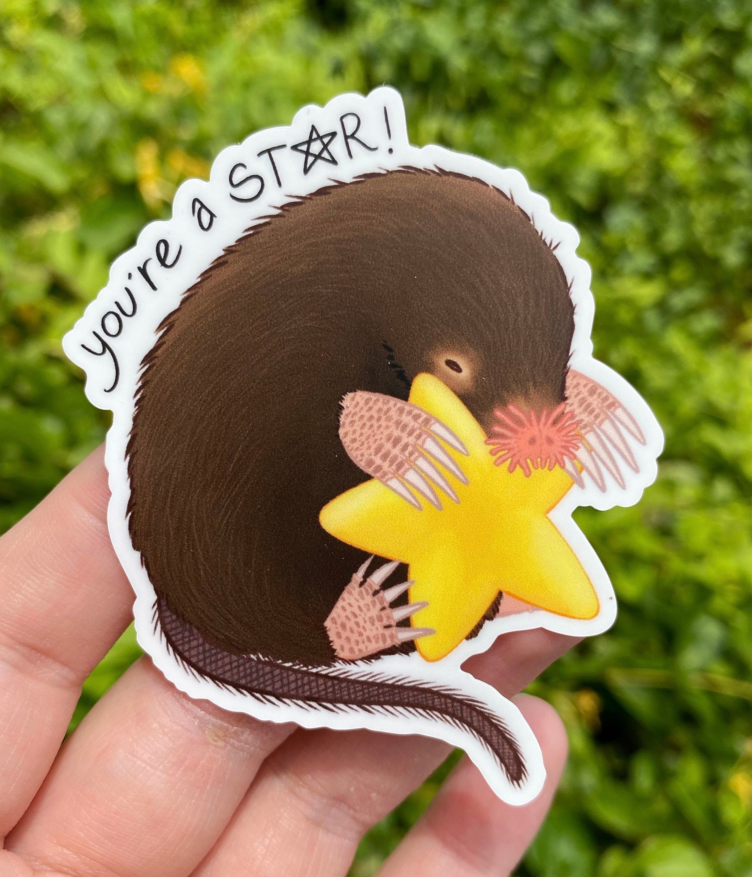 Cute Star Nosed Mole