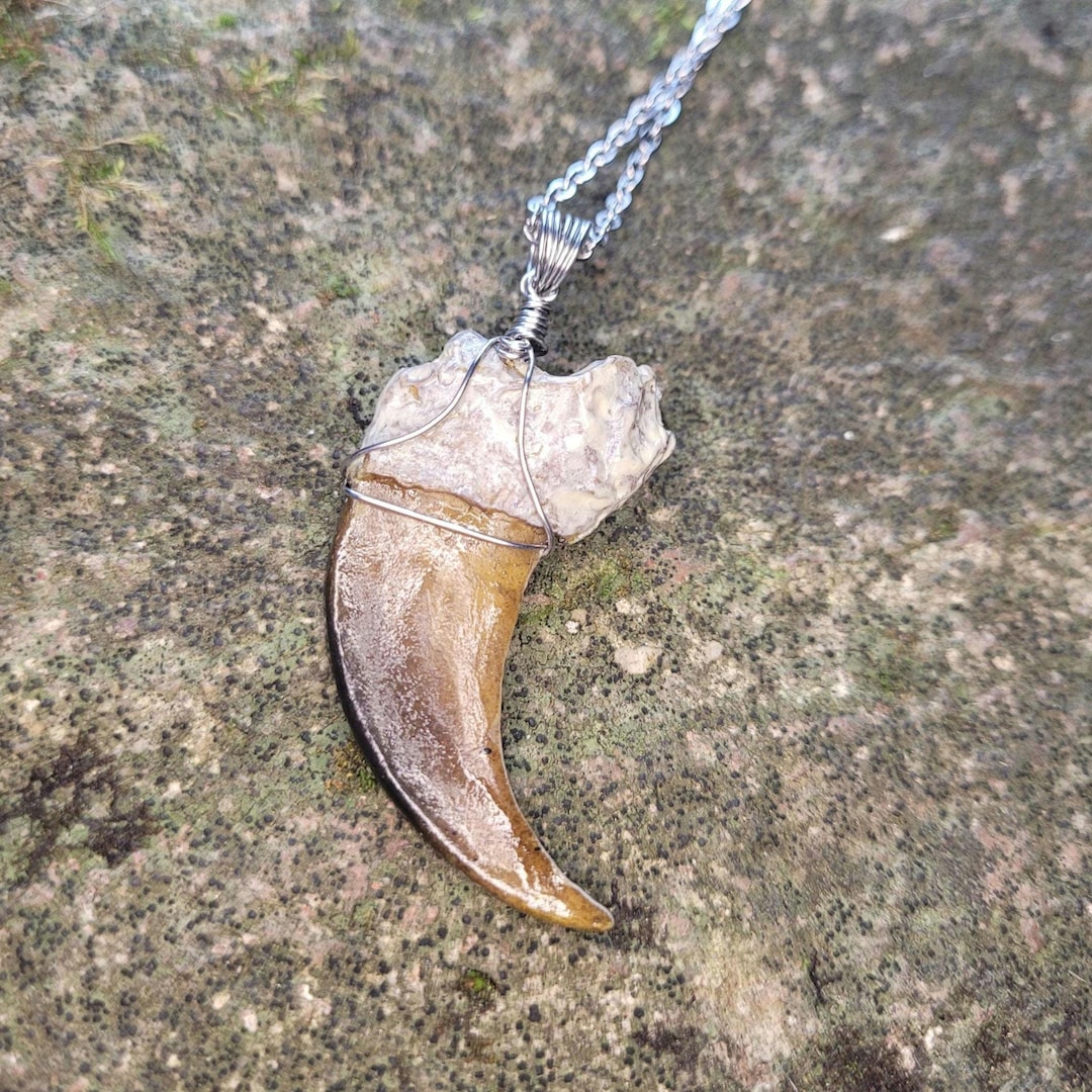Appalachian Strong! Hand-painted Resin Black Bear Claw Pendant, Shellie ...