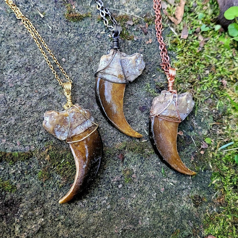 Bear Claw Necklace - Etsy