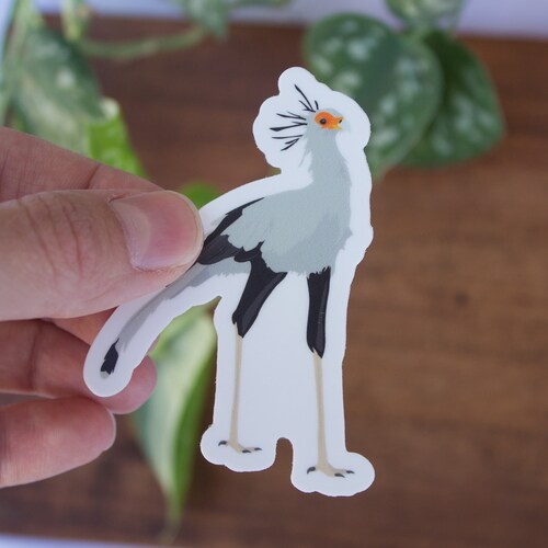 Secretarybird Secretary Bird Iron on Patch - Etsy