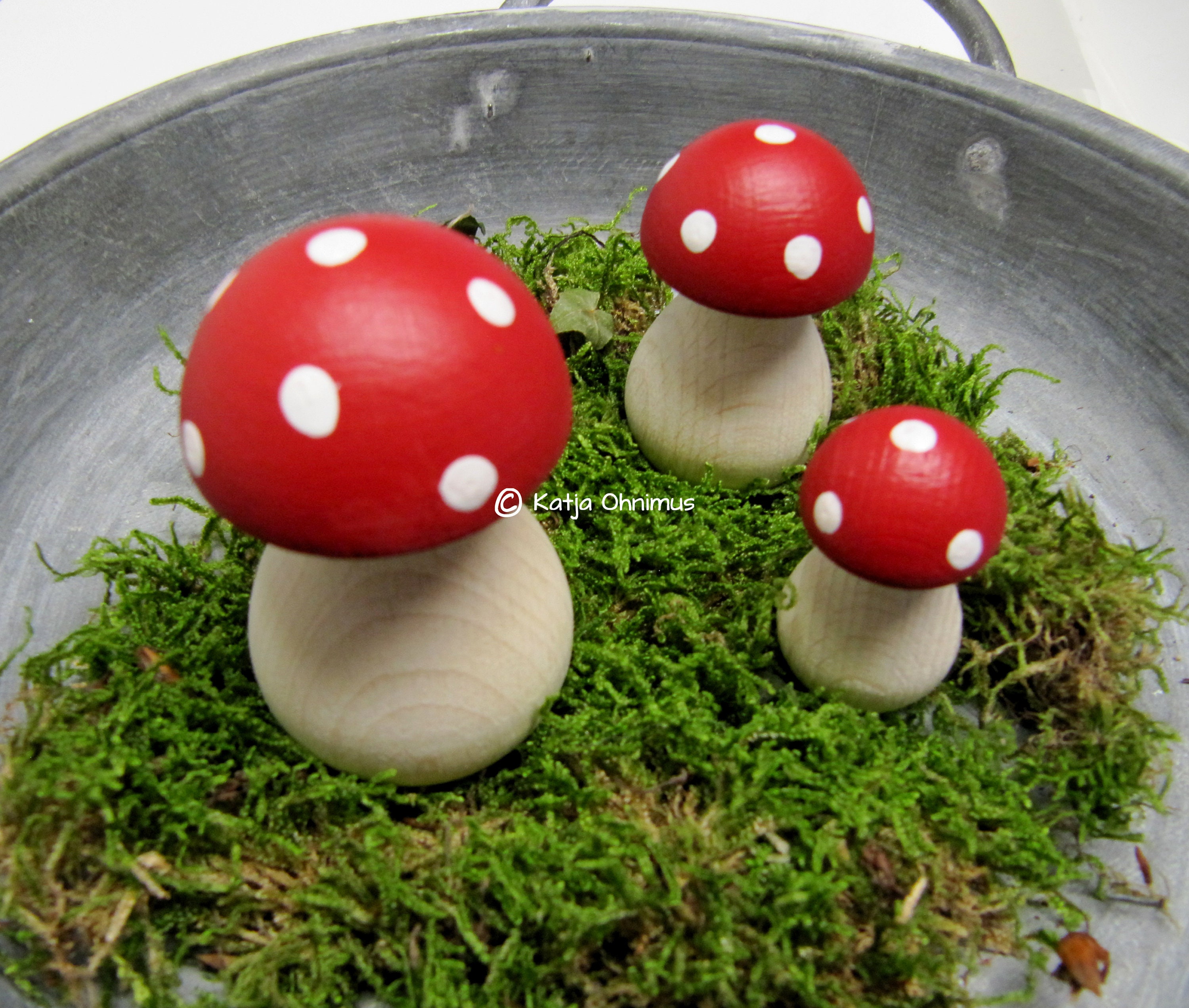 Pilz Holzpilz Glückspilz Fliegenpilz Glücksbringer Geschenk Holzdeko ...