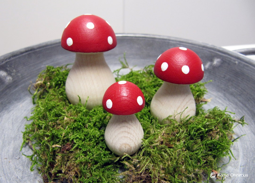 Pilz Holzpilz Glückspilz Fliegenpilz Glücksbringer Geschenk Holzdeko ...