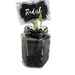 Printable Garden Label Markers Colorable Black and White Kids 62 ...