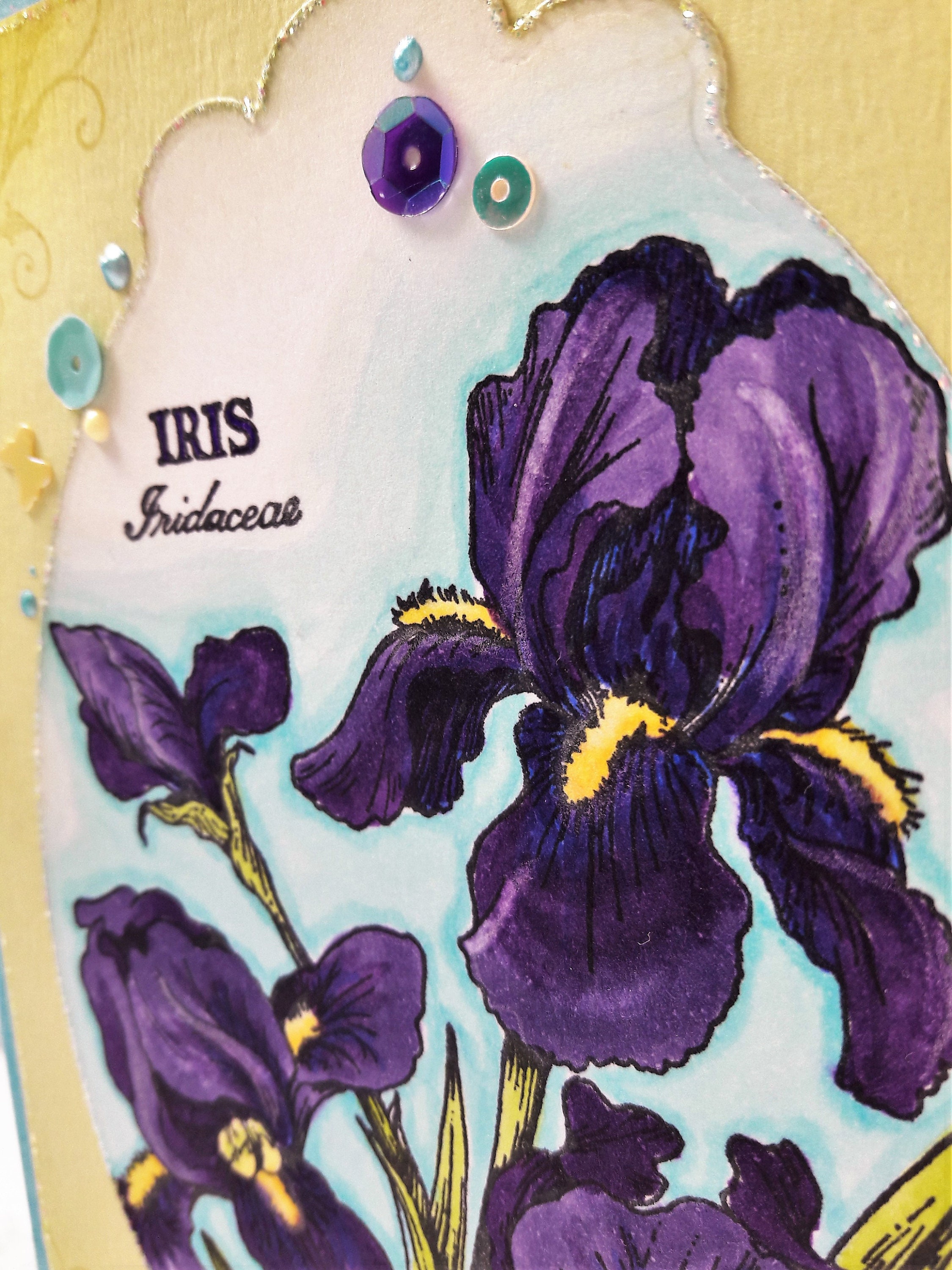 Congratulations Card "iris in Purple" - Etsy UK