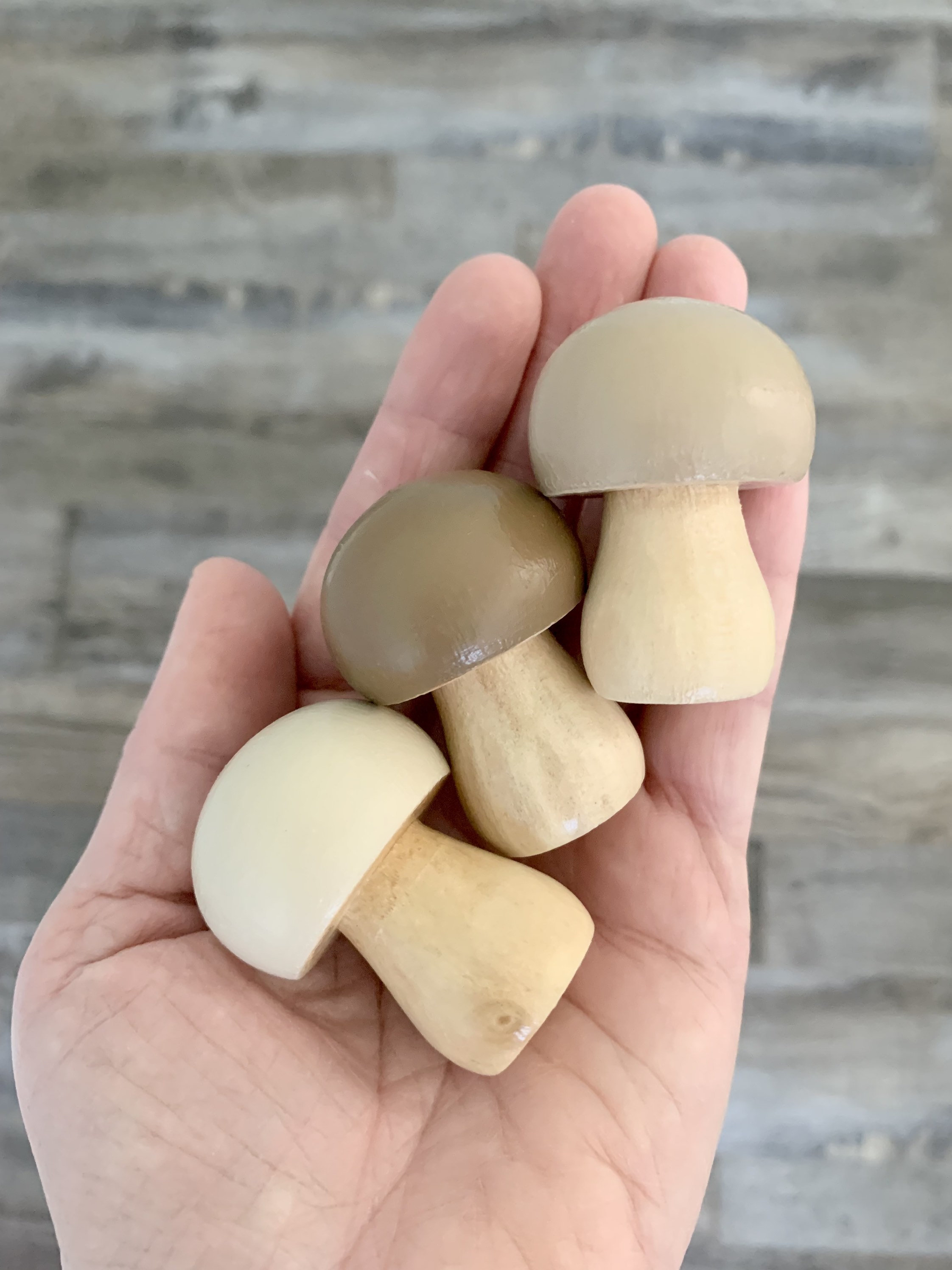 Boho Wooden Mushroom Play Set - Etsy