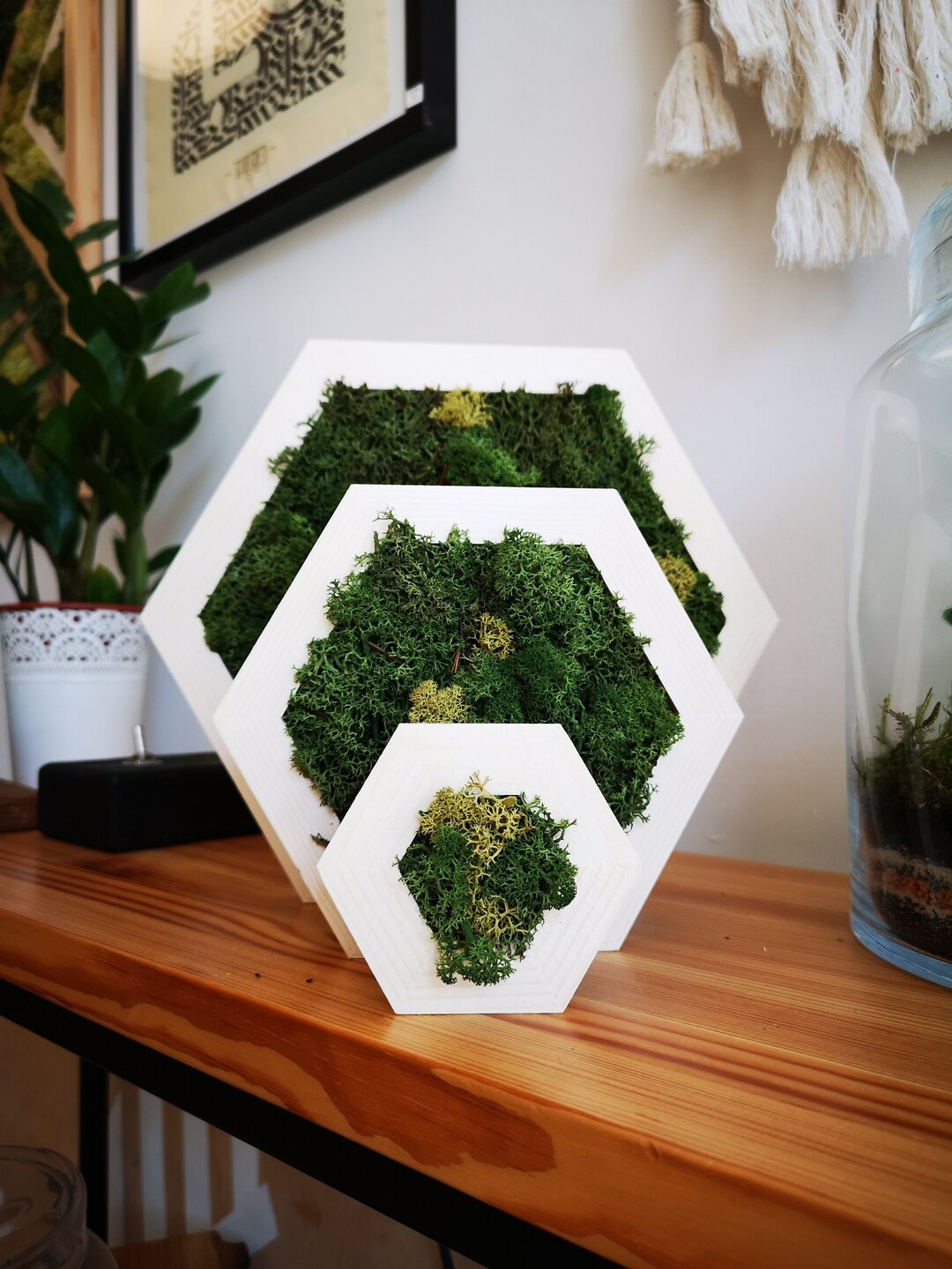 Honeycomb Moss Frame XS/ Hanging Art/ Wall Decor/ Housewarming - Etsy