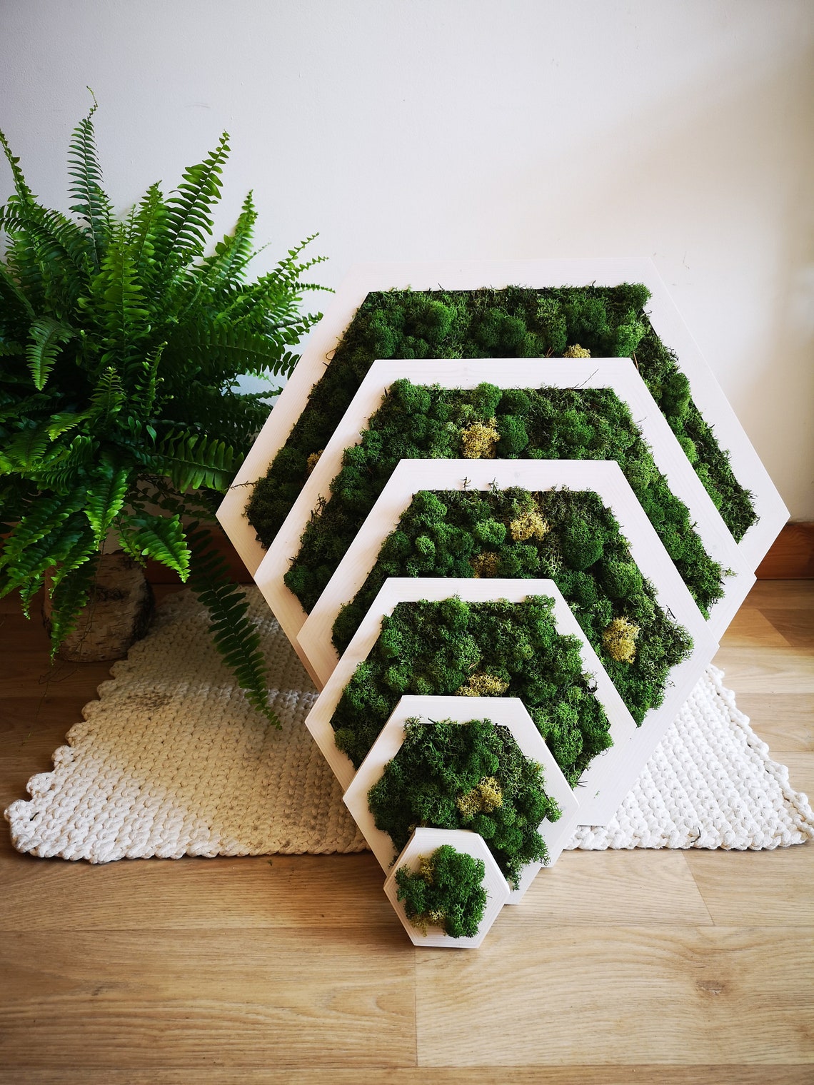 Honey Comb Moss XXL/ Reindeer Moss/ Home & Living/ Hanging Art/ Wall ...