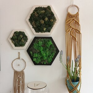 Honeycomb Moss Frame XS/ Hanging Art/ Wall Decor/ Housewarming - Etsy