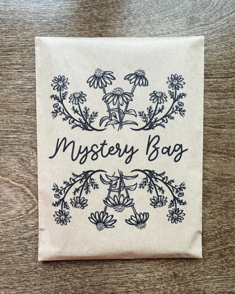 Mystery Bag! Original Art & Illustration. Surprise Art. Goody Bag. Grab ...
