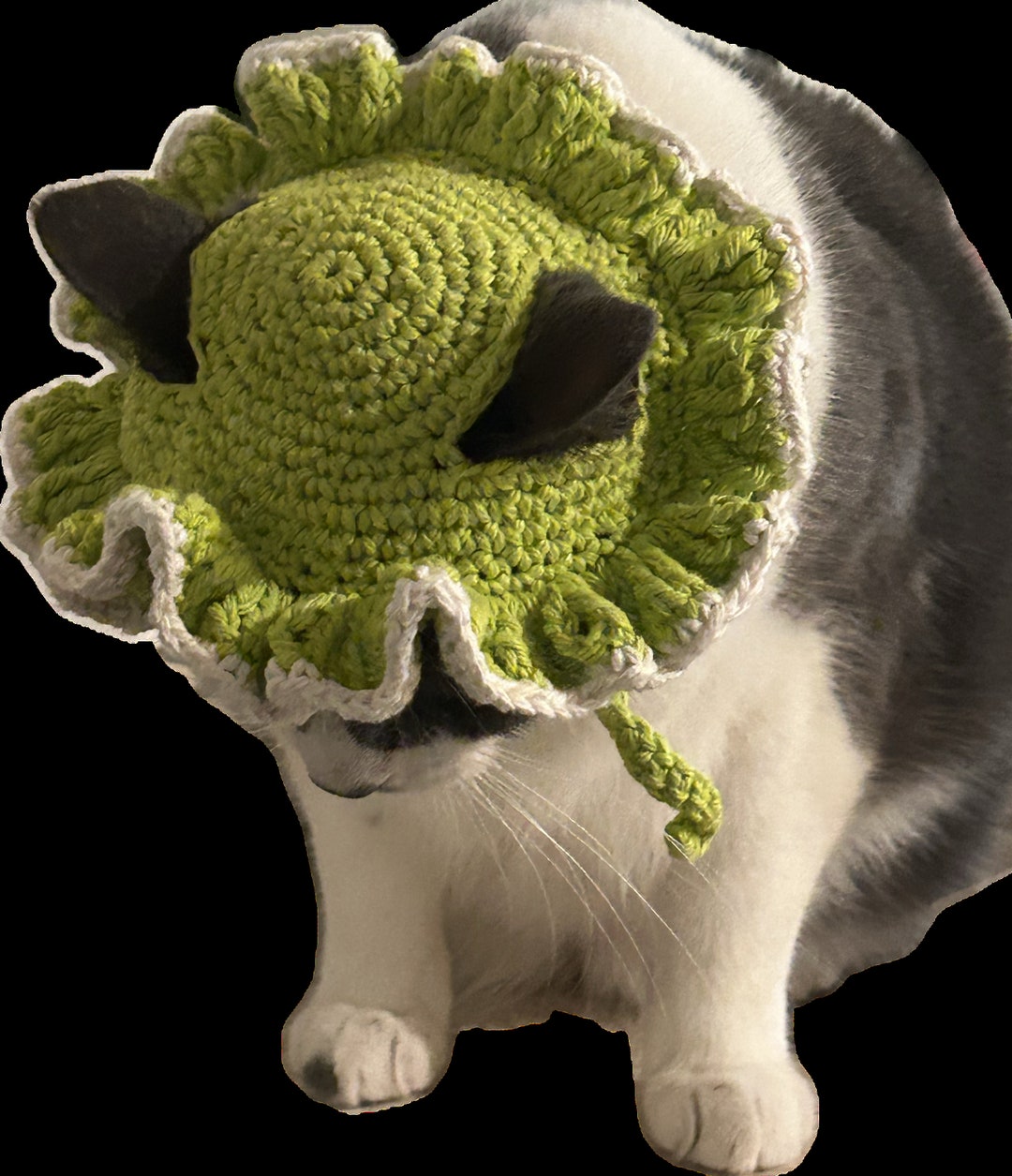 Crochet Farmer Cat Hat Pattern (NOT PHYSICAL HAT) - Etsy
