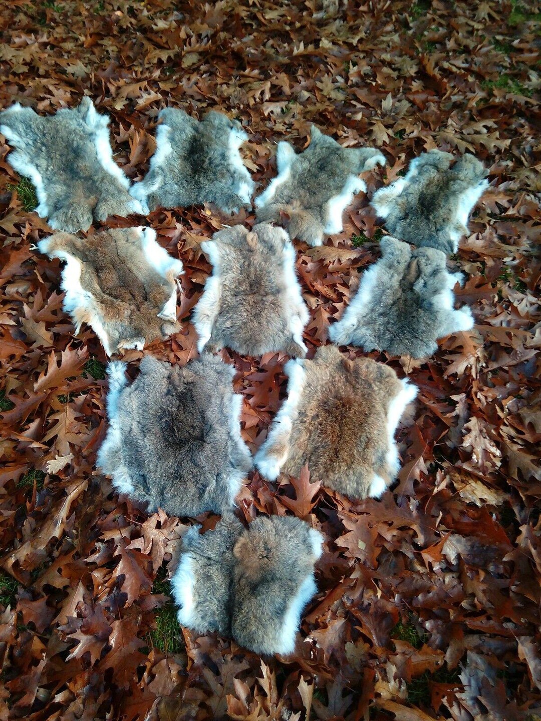 10x Rabbit Skins Hassenfelle Rabbit Fur GREY/BROWN Fur B Goods Top ...