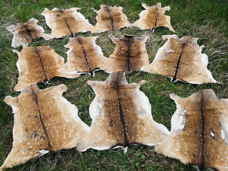 Fallow Deer Bambi Deer Fur Fallow Deer Blanket Larp Decoration ECO 2nd ...