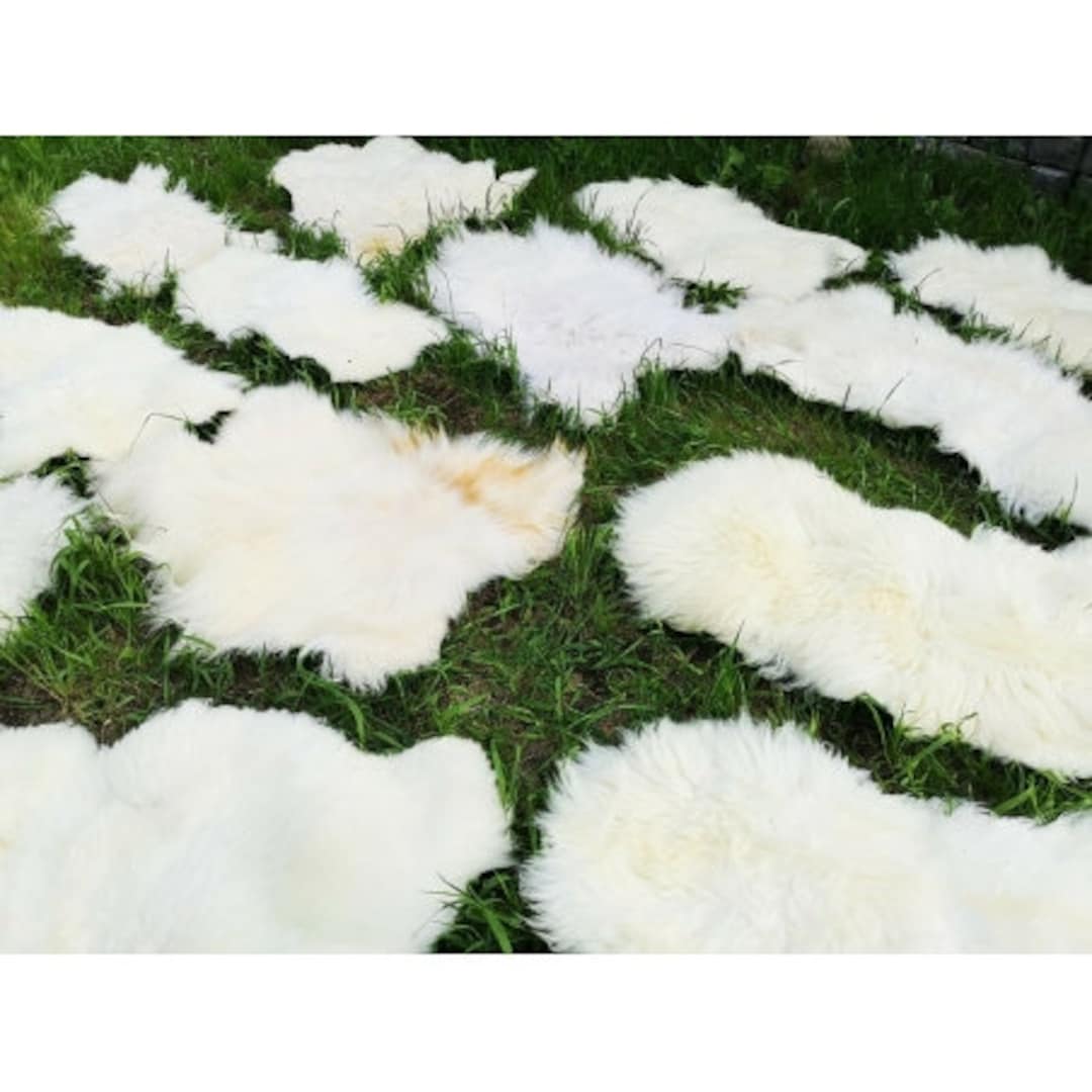 Genuine Eco Sheepskin Lambskin Sheepskin Fur Light up to 150cm 2 Choice ...