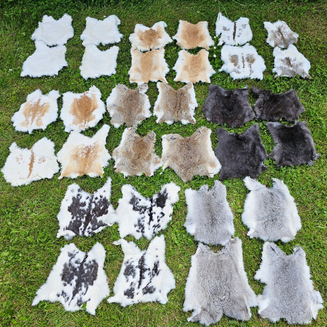Rabbit Skins Rabbit Fur Many Natural Colors TOP Tanning - Etsy