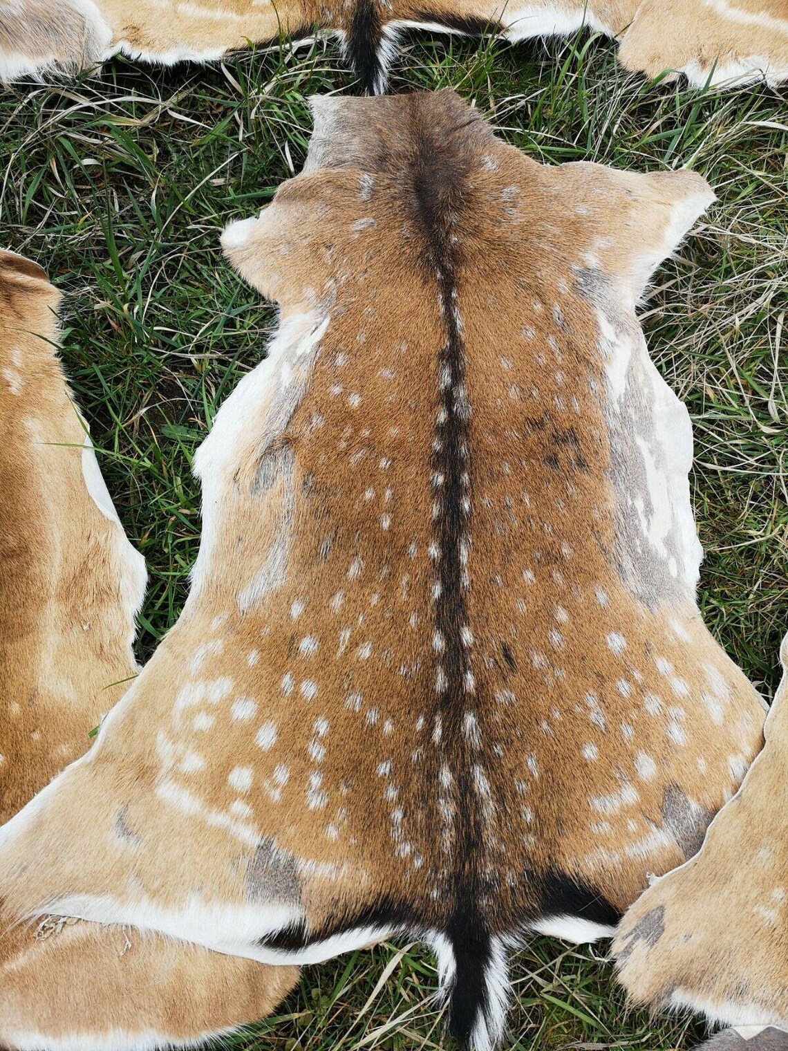 Fallow Deer Bambi Deer Fur Fallow Deer Blanket Larp Decoration ECO 2nd ...