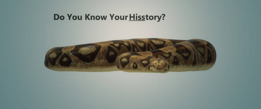 Downloadable Printable Sign do You Know Your Hisstory - Etsy