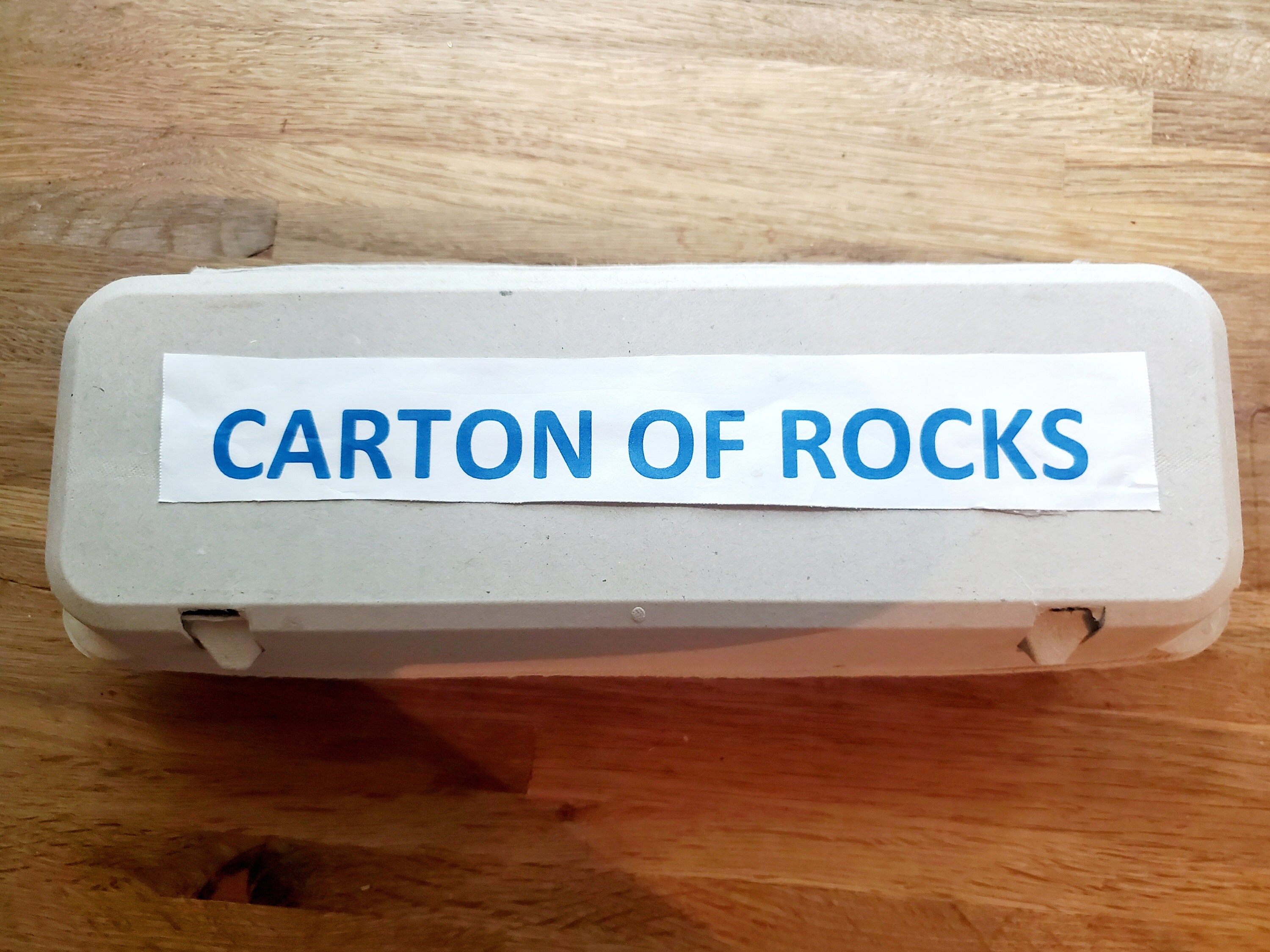Carton of Rocks Rock Collection for Kids - Etsy