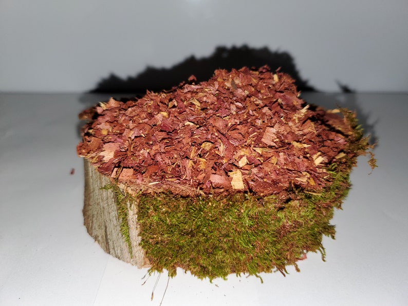 Rustic Cedar Altar Cedar Rounds - Etsy