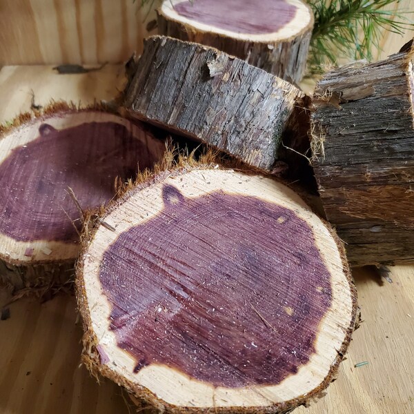 Cedar Rounds - Etsy