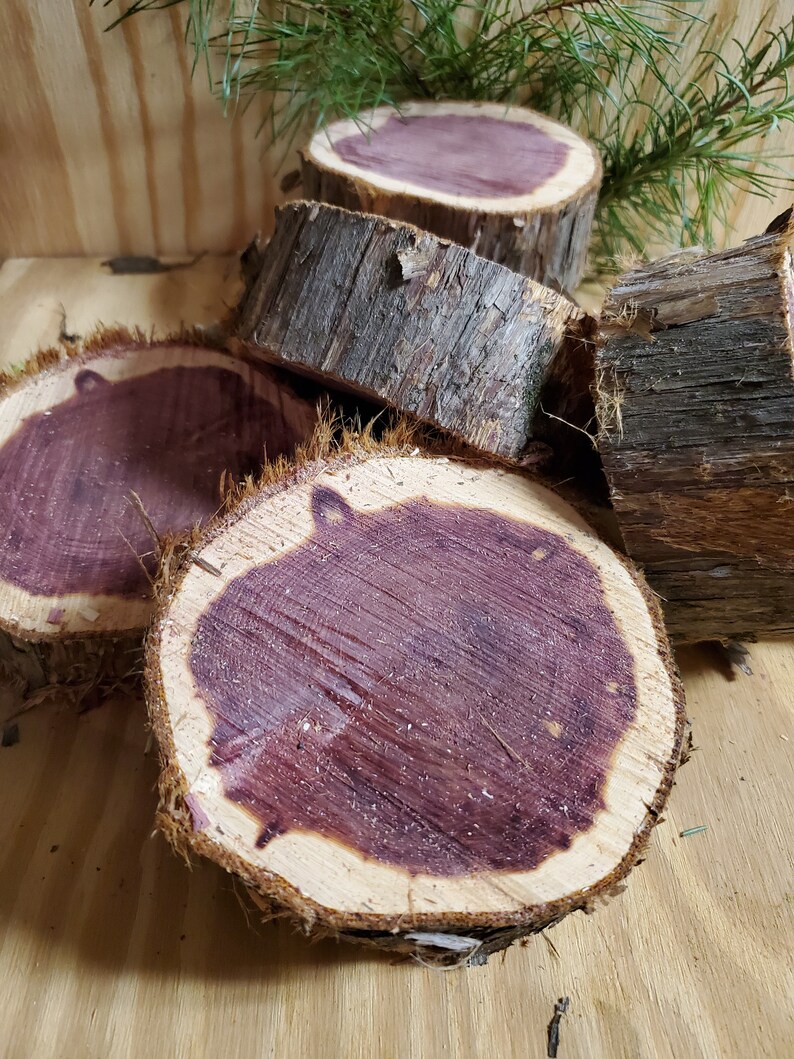 Rustic Cedar Altar Cedar Rounds - Etsy