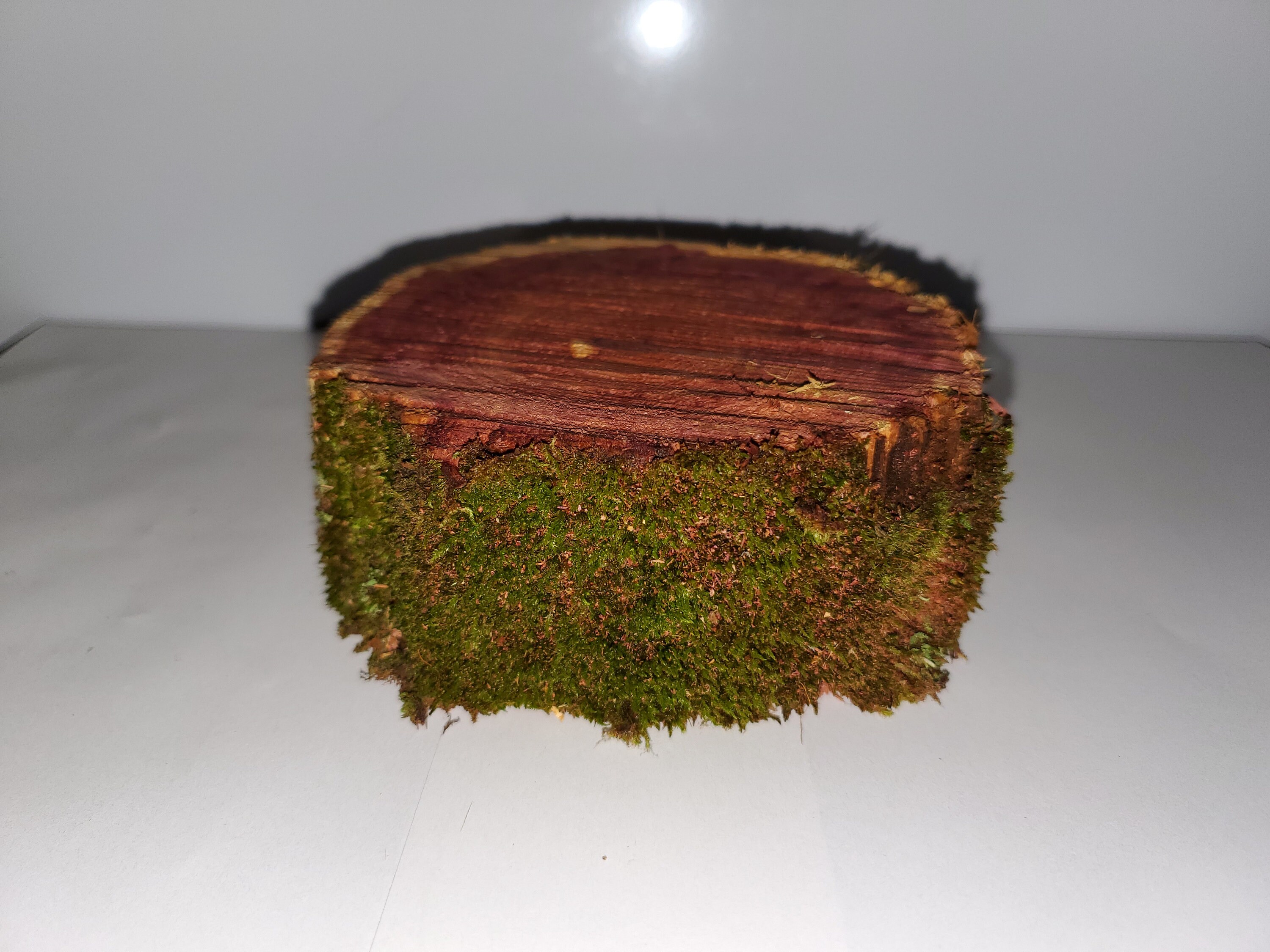 Rustic Cedar Altar Cedar Rounds - Etsy