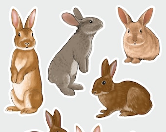 Häschen aufkleber sticker - Etsy.de