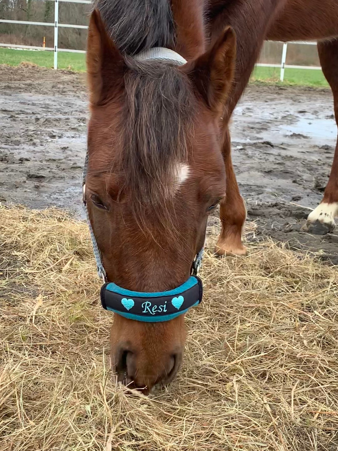 Noseband Name and Hearts Halter Protector Made of Fleece With Velcro ...