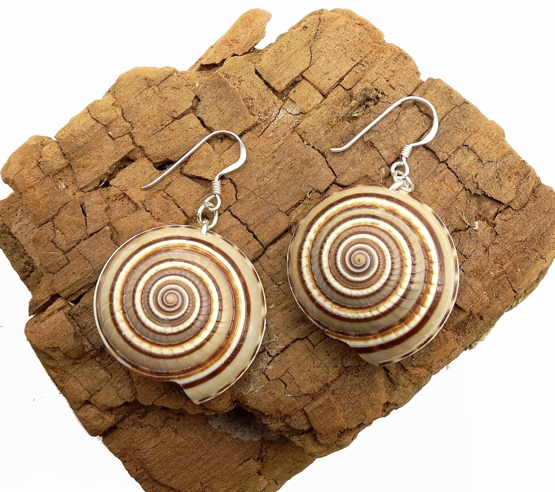 Shell earrings shell earrings | Etsy