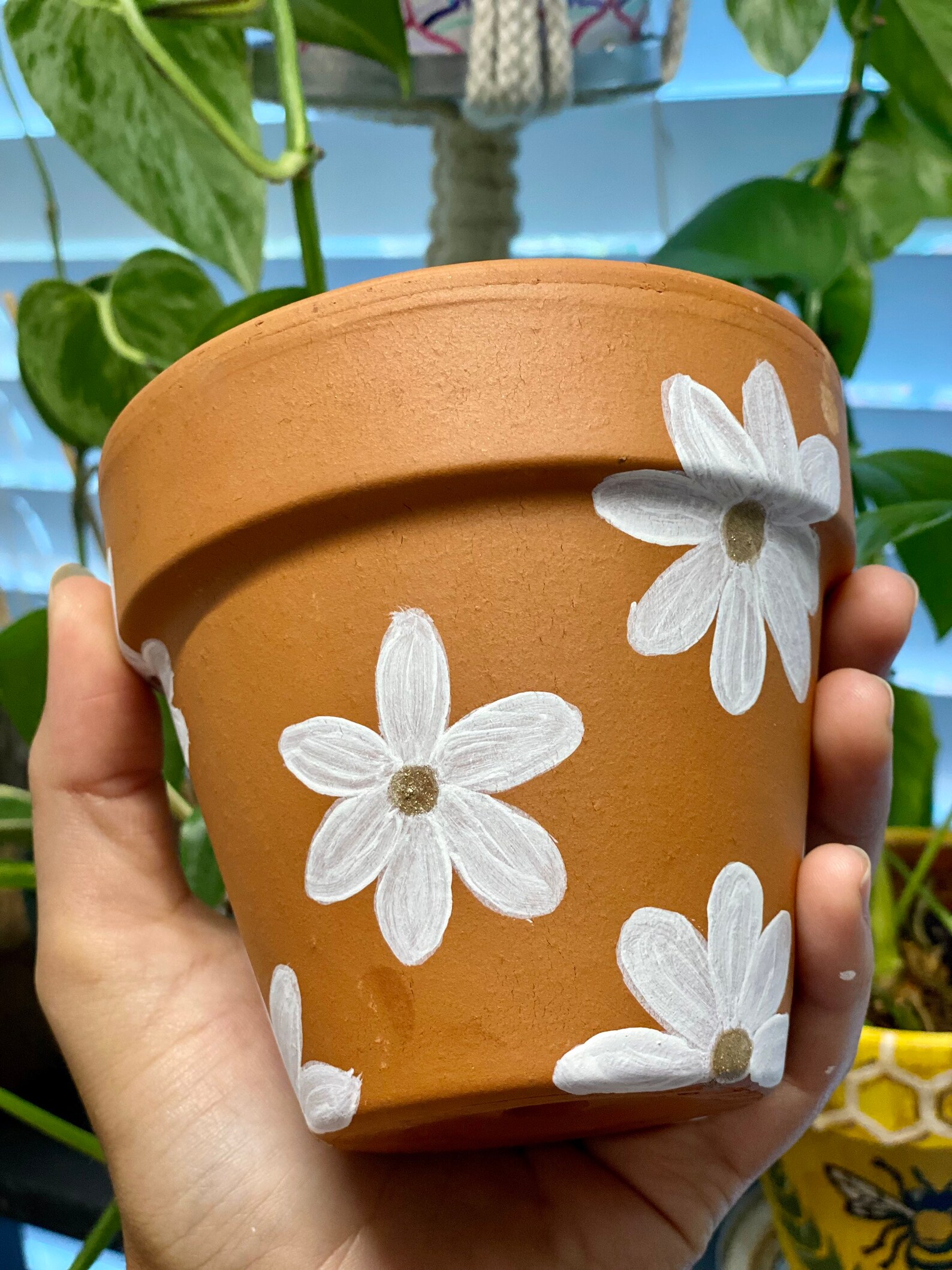 Daisy Flower Pot - Etsy