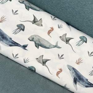 Deep Sea Life Jersey Family Fabrics und/oder passender Jersey und/oder ...