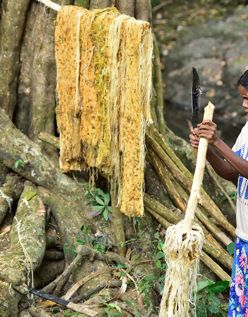 Natural Bath Scrubber Incha Enja Nikuncham Eencha Acacia - Etsy