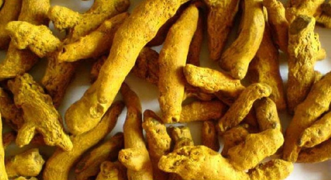 Dry Turmeric Root Cut Organic Dried Herb Curcuma Longa | Etsy