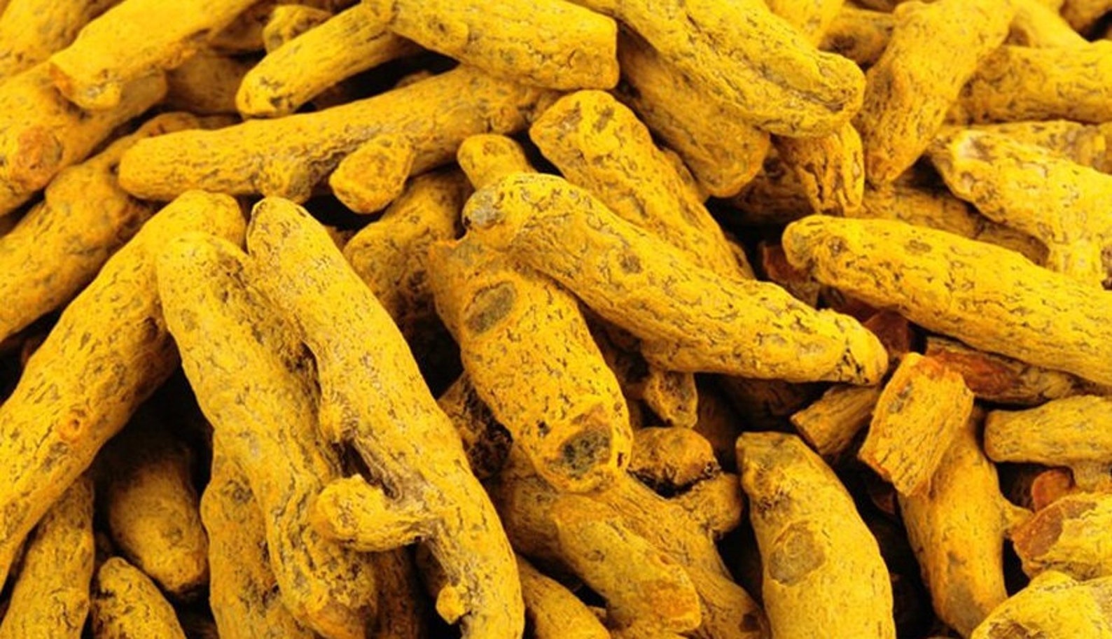 Dry Turmeric Root Cut Organic Dried Herb Curcuma Longa | Etsy