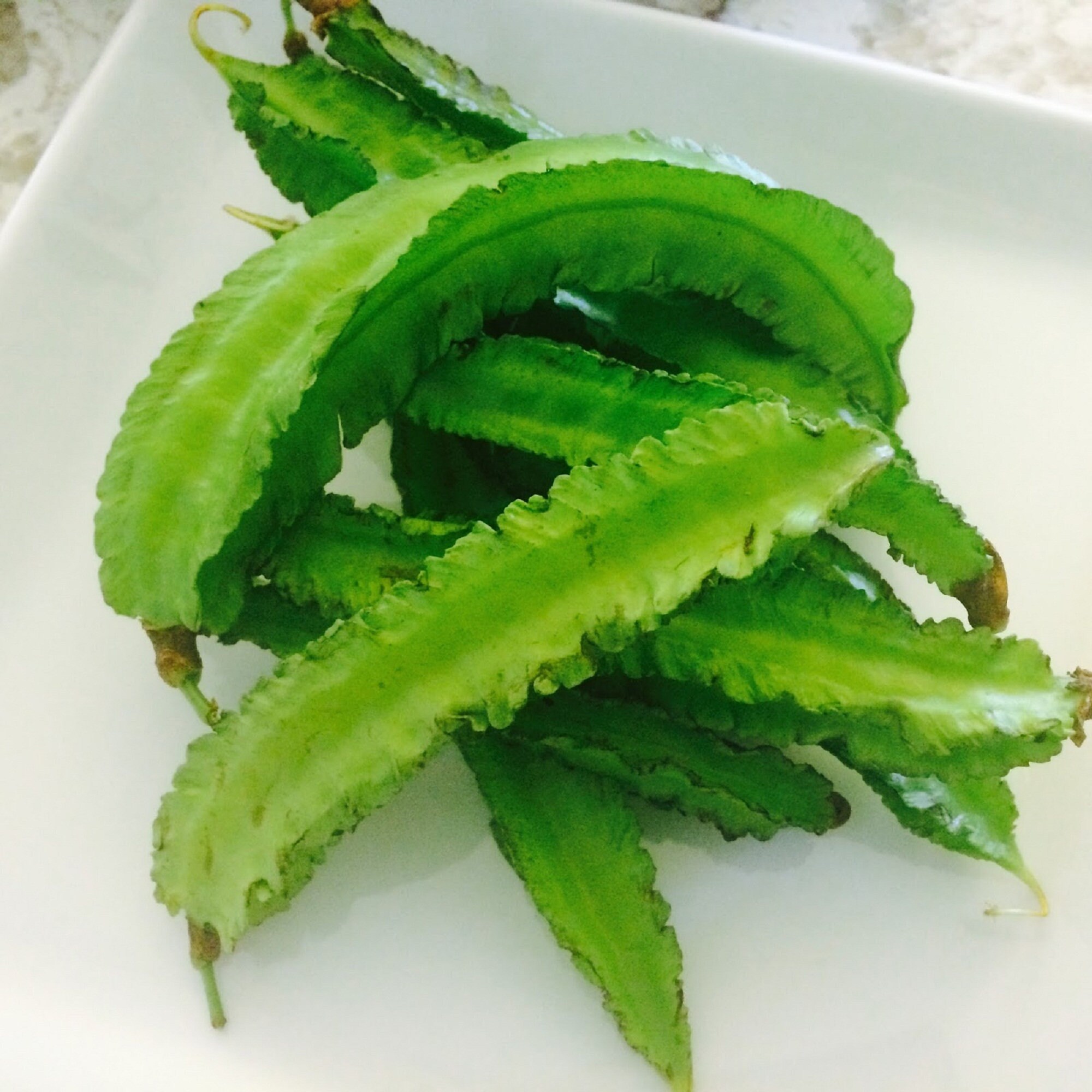 Winged Bean Goa Bean Four Angled Bean Manila Bean - Etsy Canada