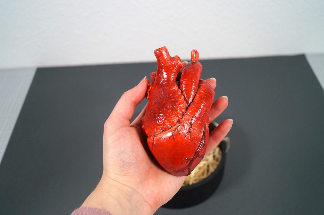 Human Heart Sculpture, Realistic Heart Valentines Gift - Etsy