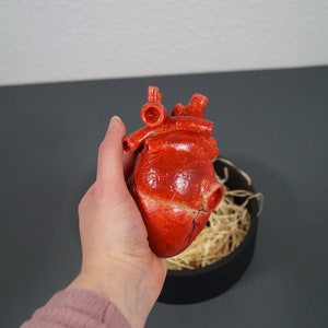 Human Heart Sculpture, Realistic Heart Valentines Gift - Etsy